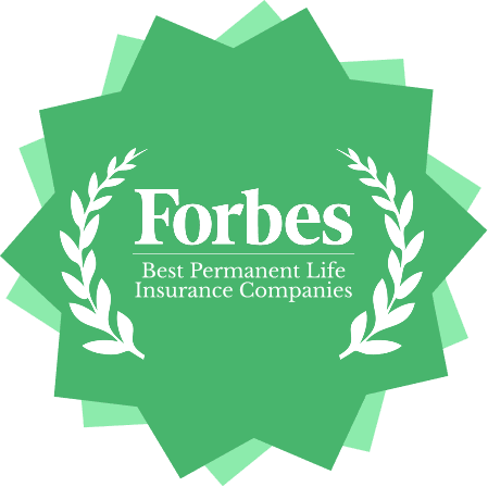 Affordable Life Insurance Policies - Invest In Your Life Today | Amplify